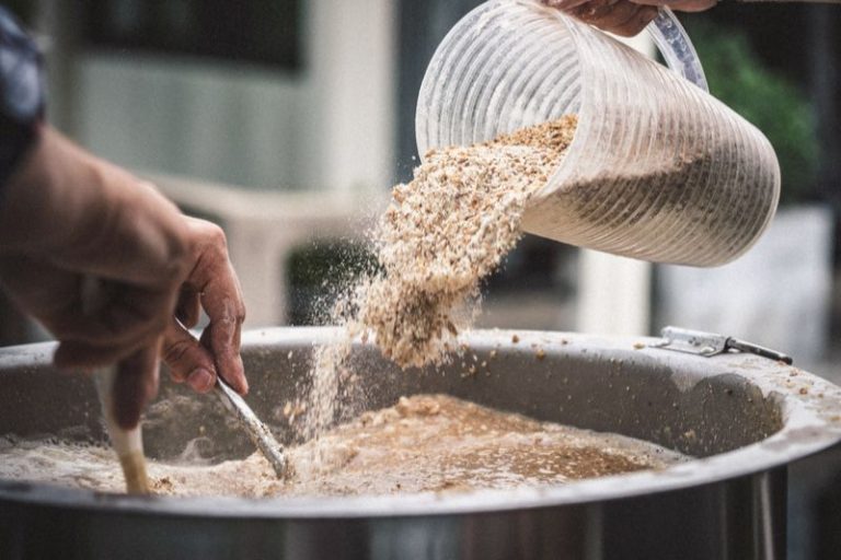 All Grain vs Extract Brewing: Which is Right For You? - Savored Sips