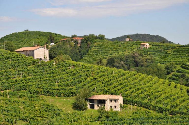 5 Top Champagne Houses in Reims, France - Savored Sips