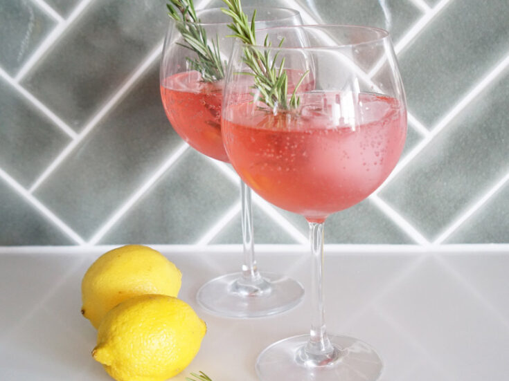 Raspberry Lemon Gin & Tonic - Savored Sips