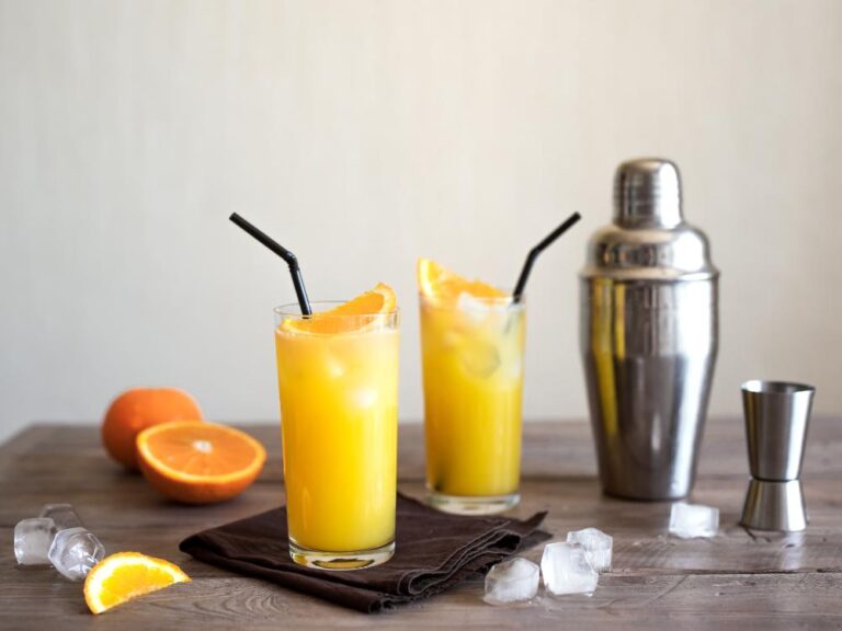 The Best 2-Ingredient Vodka Drinks - Savored Sips